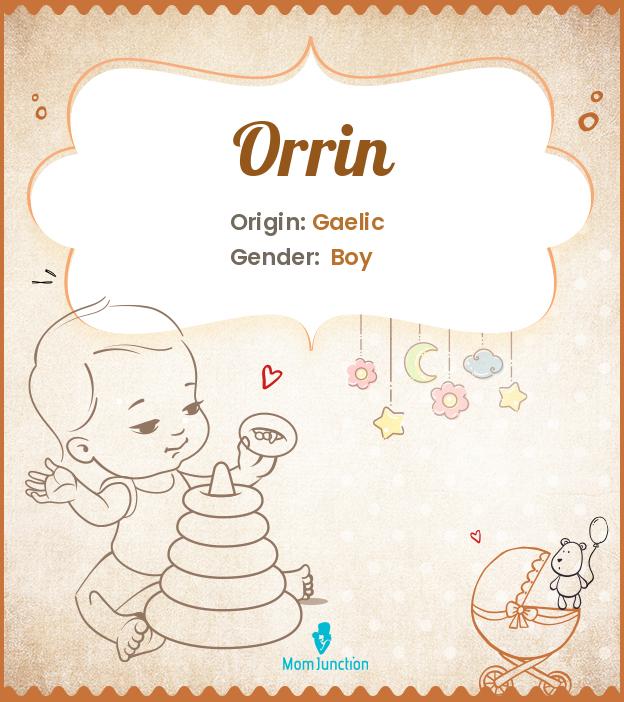 Orrin Name Meaning, Origin, History, And Popularity