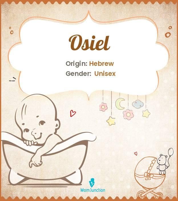 Explore Osiel: Meaning, Origin & Popularity