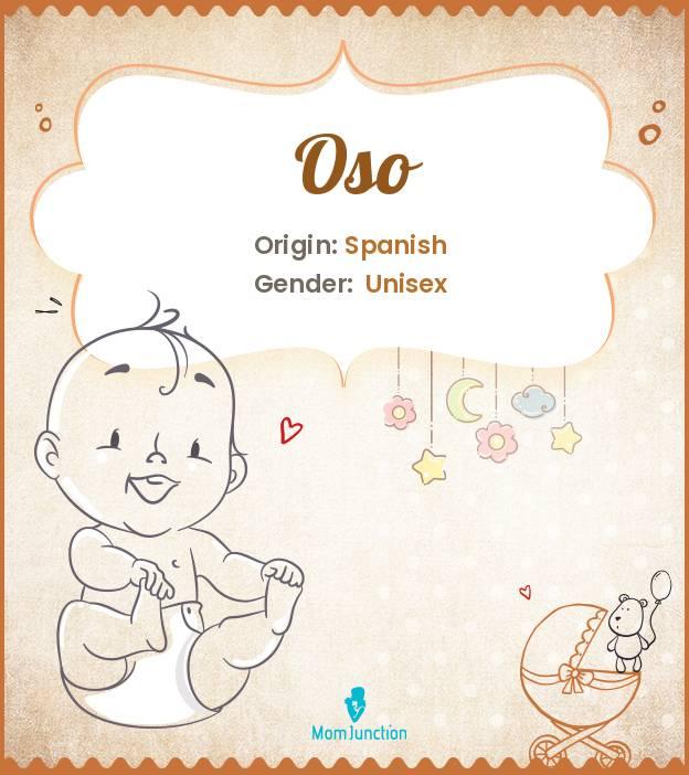 Explore Oso: Meaning, Origin & Popularity