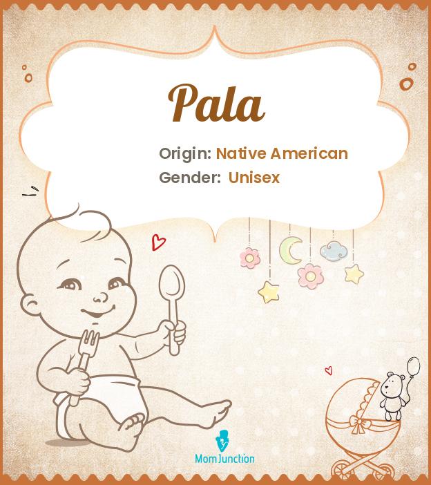 Explore Pala: Meaning, Origin & Popularity