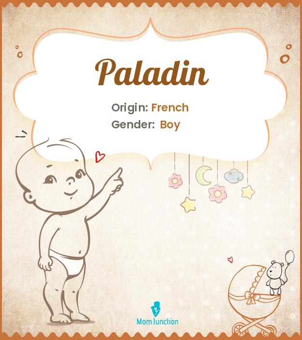 Explore Paladin: Meaning, Origin & Popularity