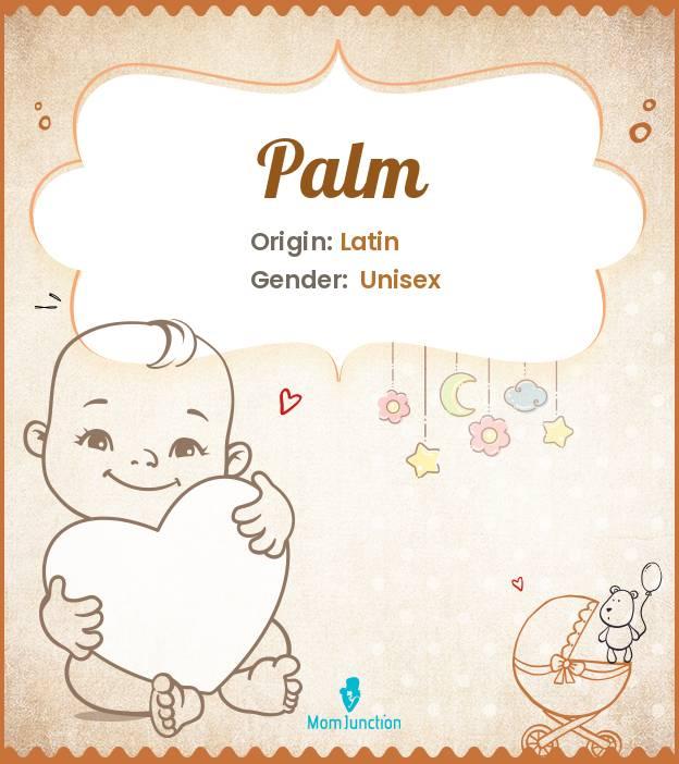 Explore Palm: Meaning, Origin & Popularity | MomJunction