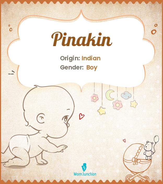 Explore Pinakin: Meaning, Origin & Popularity