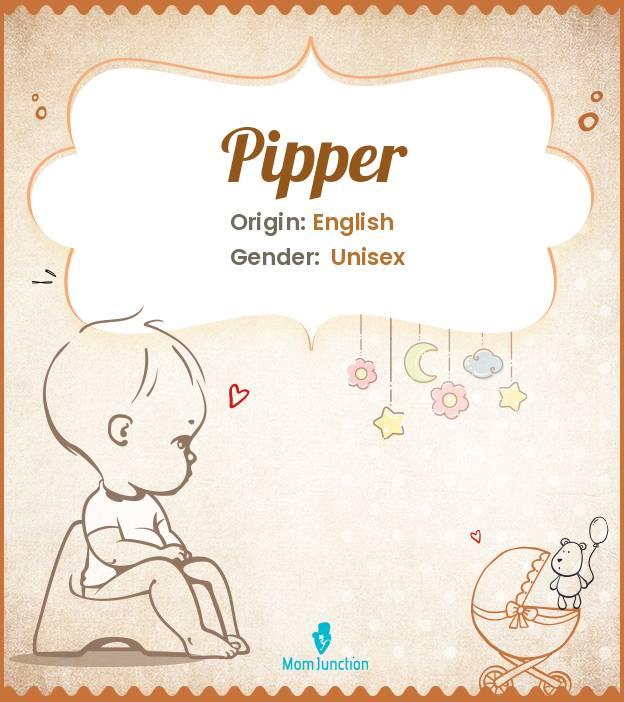 Explore Pipper: Meaning, Origin & Popularity