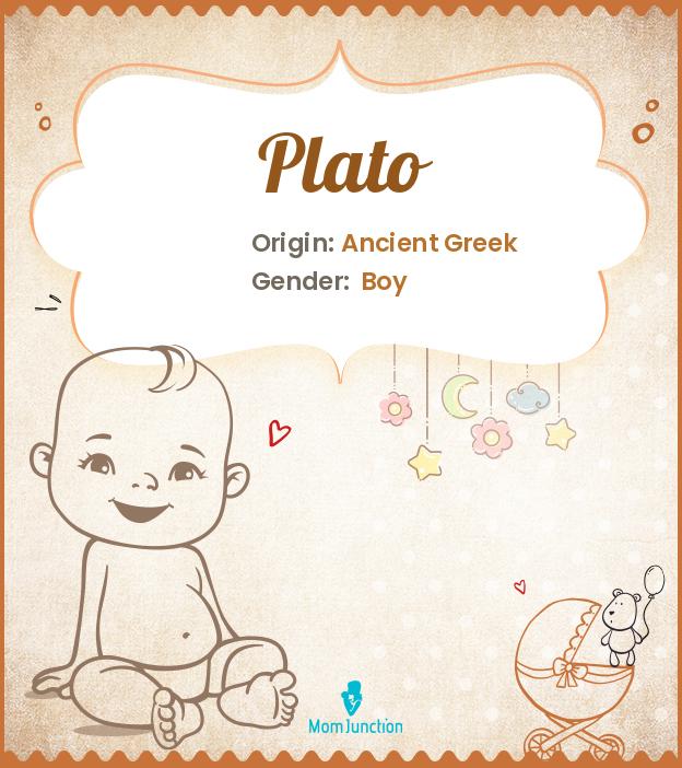 Plato Name Meaning, Origin, History, And Popularity
