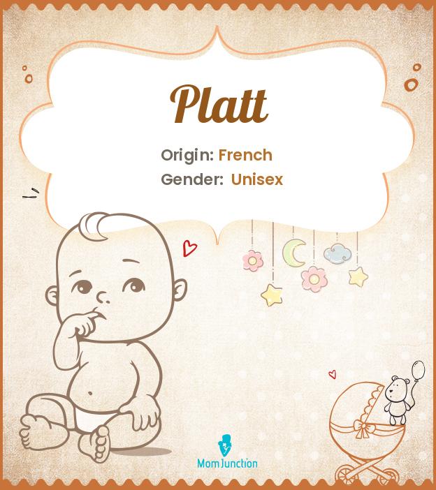 Explore Platt: Meaning, Origin & Popularity