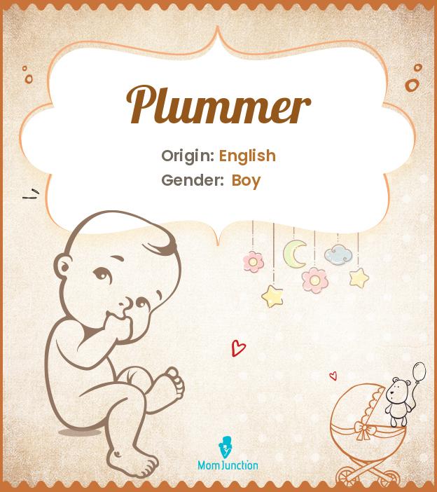 Explore Plummer: Meaning, Origin & Popularity