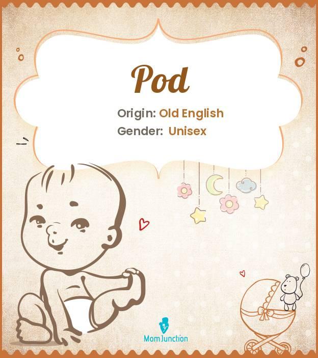 Explore Pod: Meaning, Origin & Popularity