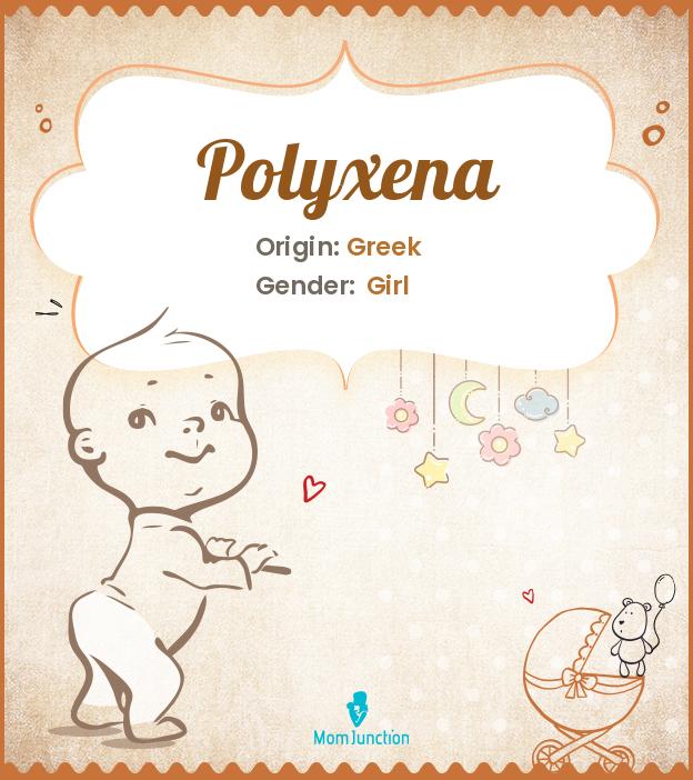Explore Polyxena: Meaning, Origin & Popularity