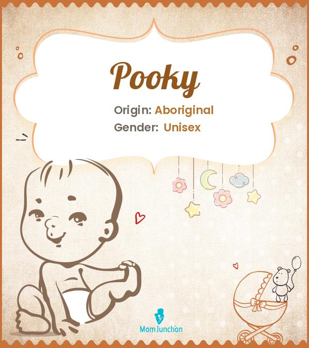 Pooky Name Meaning, Origin, History, And Popularity