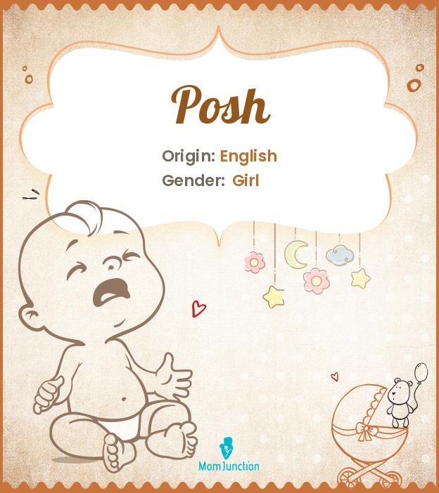 Explore Posh: Meaning, Origin & Popularity