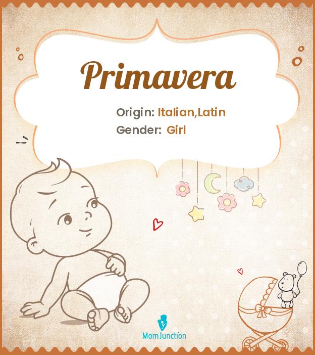 Explore Primavera: Meaning, Origin & Popularity