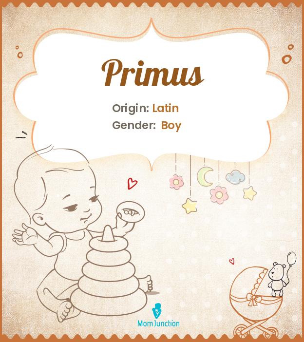 Explore Primus: Meaning, Origin & Popularity