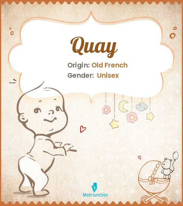 Explore Quay: Meaning, Origin & Popularity