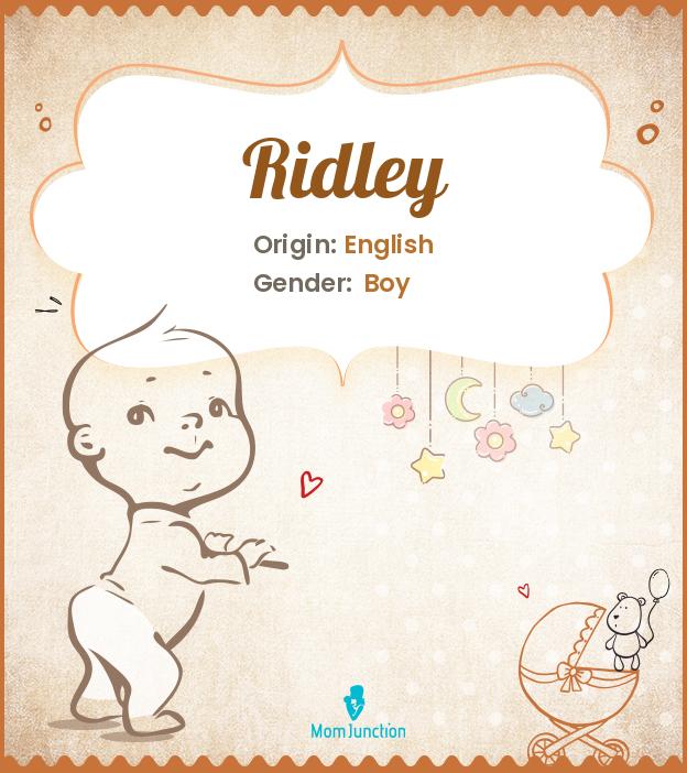 Ridley Name Meaning, Origin, History, And Popularity