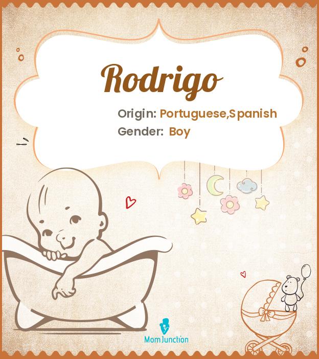 Rodrigo Name Meaning, Origin, History, And Popularity