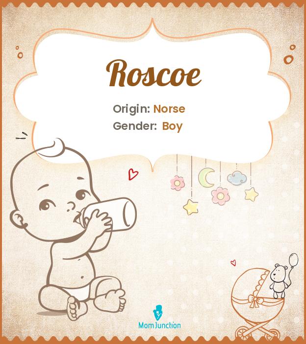 Roscoe Name Meaning, Origin, History, And Popularity