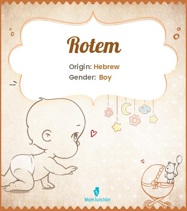Explore Rotem: Meaning, Origin & Popularity