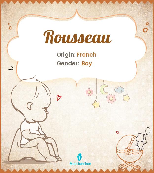 Explore Rousseau: Meaning, Origin & Popularity