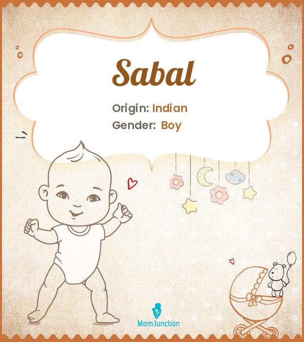 Explore Sabal: Meaning, Origin & Popularity