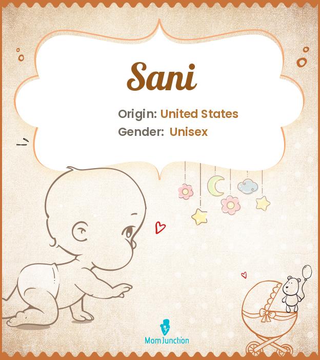 Explore Sani: Meaning, Origin & Popularity