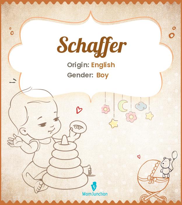Explore Schaffer: Meaning, Origin & Popularity