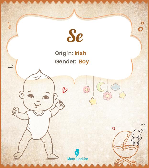 Explore Se: Meaning, Origin & Popularity