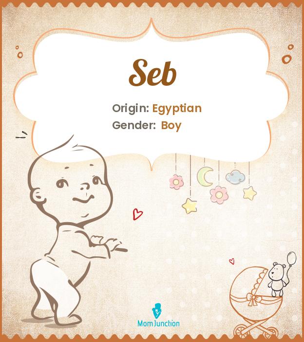 Explore Seb: Meaning, Origin & Popularity