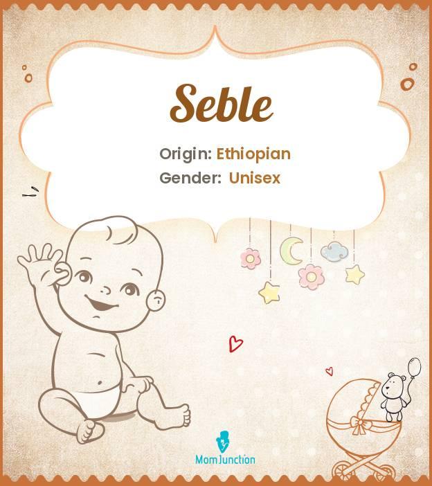 Explore Seble: Meaning, Origin & Popularity