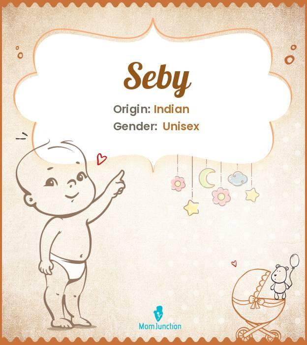 Explore Seby Meaning Origin And Popularity