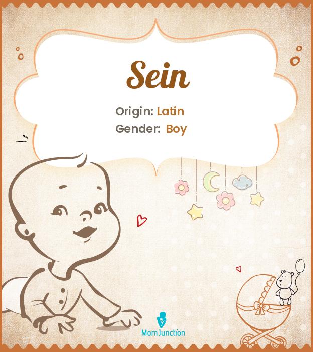 Explore Sein: Meaning, Origin & Popularity