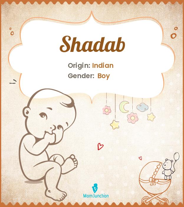 Explore Shadab: Meaning, Origin & Popularity