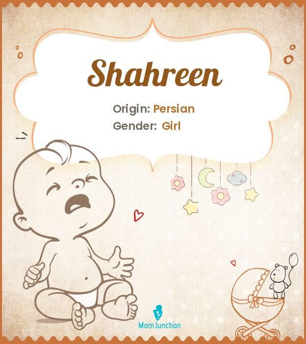 Explore Shahreen: Meaning, Origin & Popularity