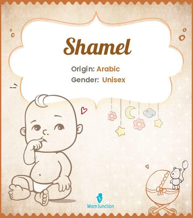 Explore Shamel: Meaning, Origin & Popularity