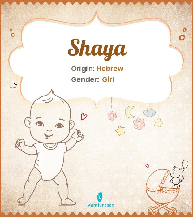 Explore Shaya: Meaning, Origin & Popularity