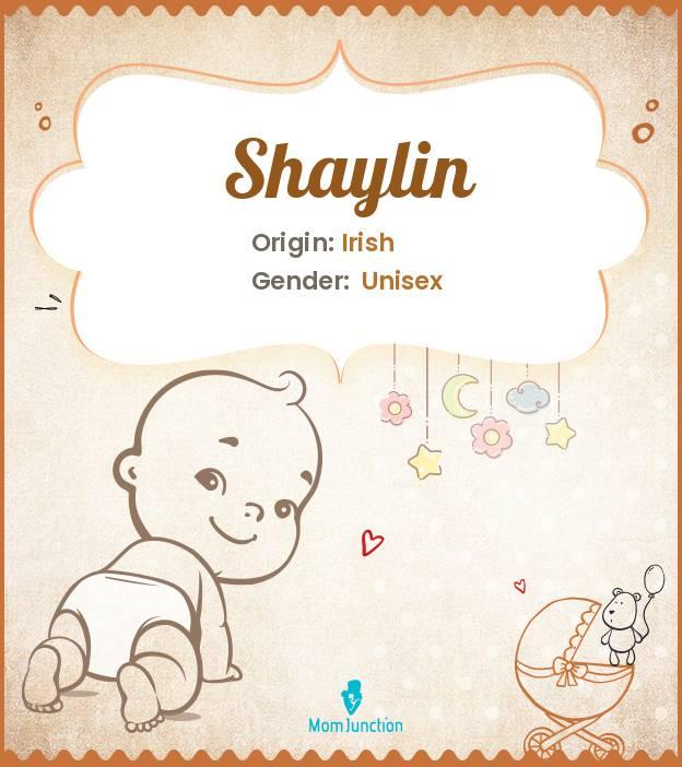 Explore Shaylin: Meaning, Origin & Popularity