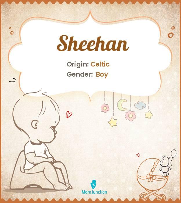 Explore Sheehan: Meaning, Origin & Popularity