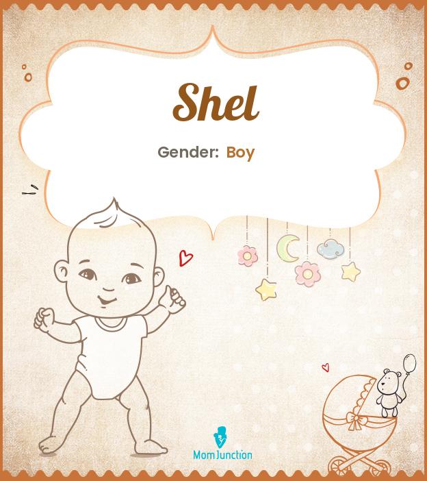 Explore Shel: Meaning, Origin & Popularity