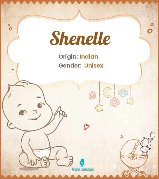 Explore Shenelle: Meaning, Origin & Popularity