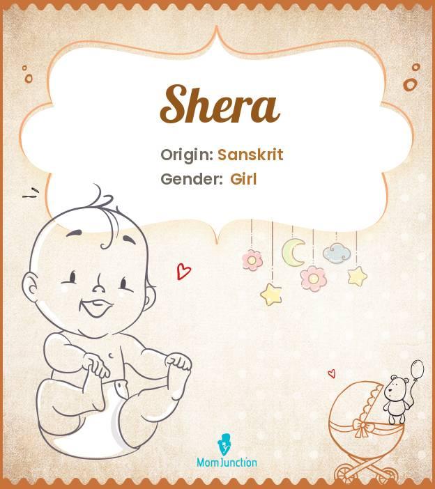Explore Shera: Meaning, Origin & Popularity