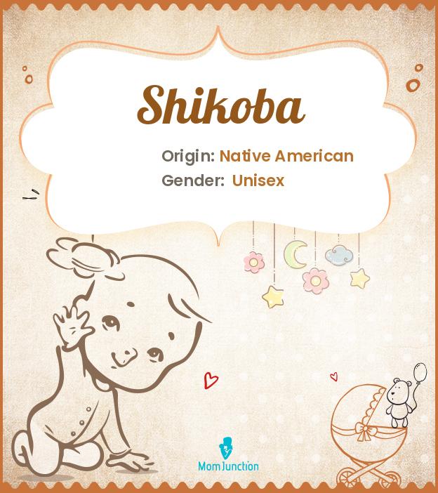 Explore Shikoba: Meaning, Origin & Popularity
