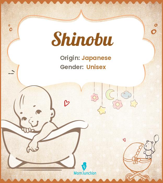 Shinobu Name Meaning, Origin, History, And Popularity