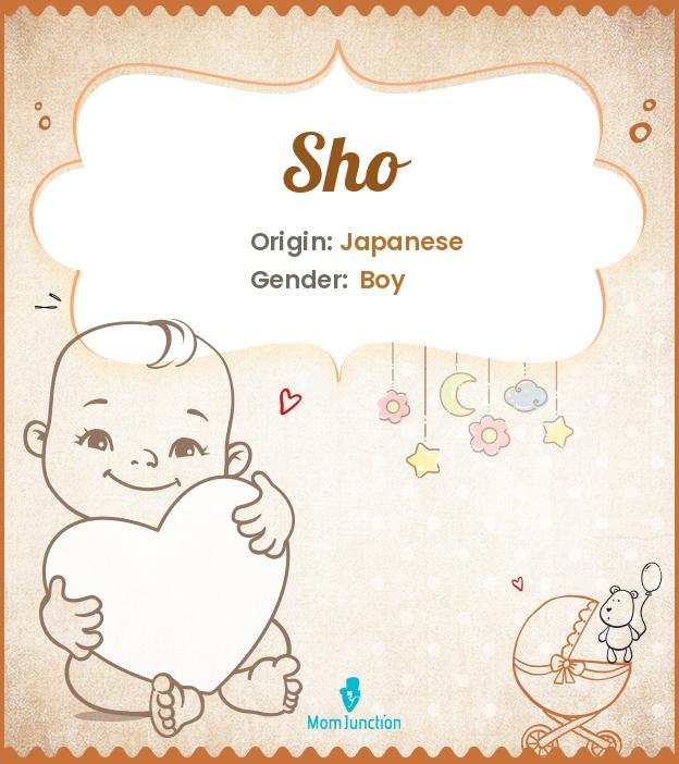 Explore Sho: Meaning, Origin & Popularity