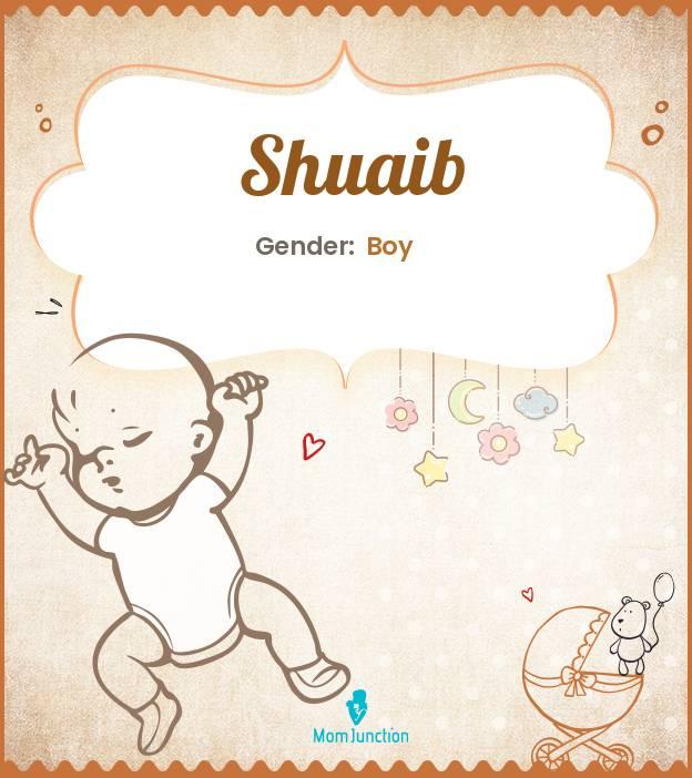 Explore Shuaib: Meaning, Origin & Popularity