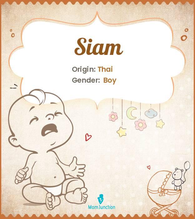 Explore Siam: Meaning, Origin & Popularity