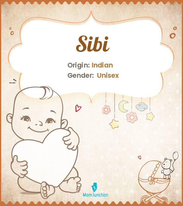 Explore Sibi: Meaning, Origin & Popularity
