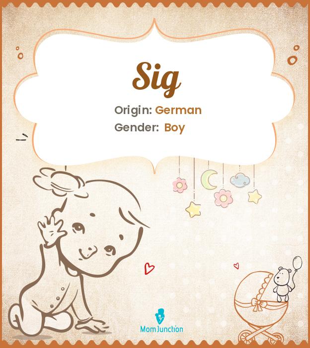 Explore Sig: Meaning, Origin & Popularity
