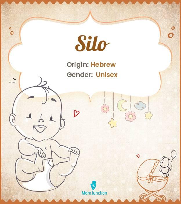 Explore Silo: Meaning, Origin & Popularity