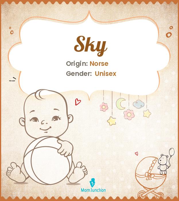 Sky Name Meaning, Origin, History, And Popularity | MomJunction