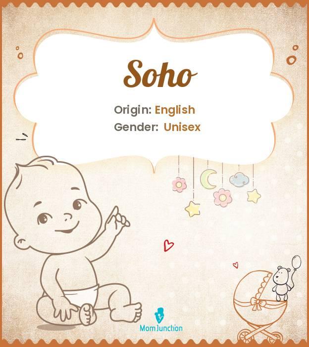 Explore Soho: Meaning, Origin & Popularity